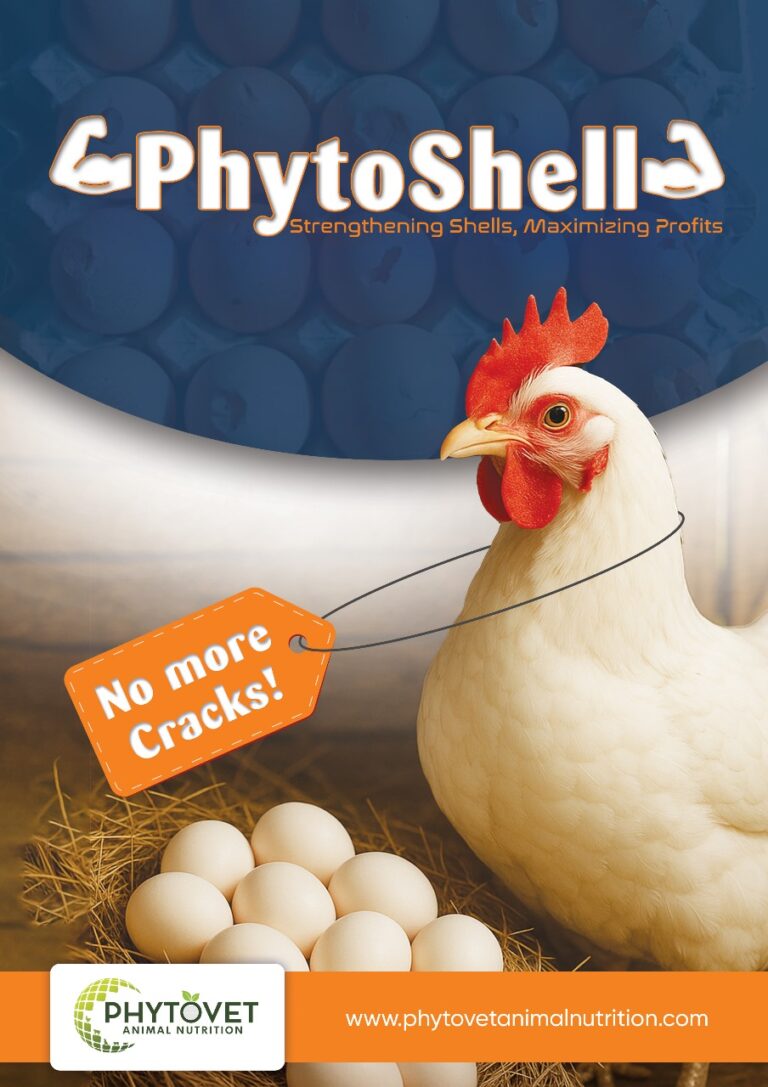 PhytoShell – phytovetanimalnutrition.com