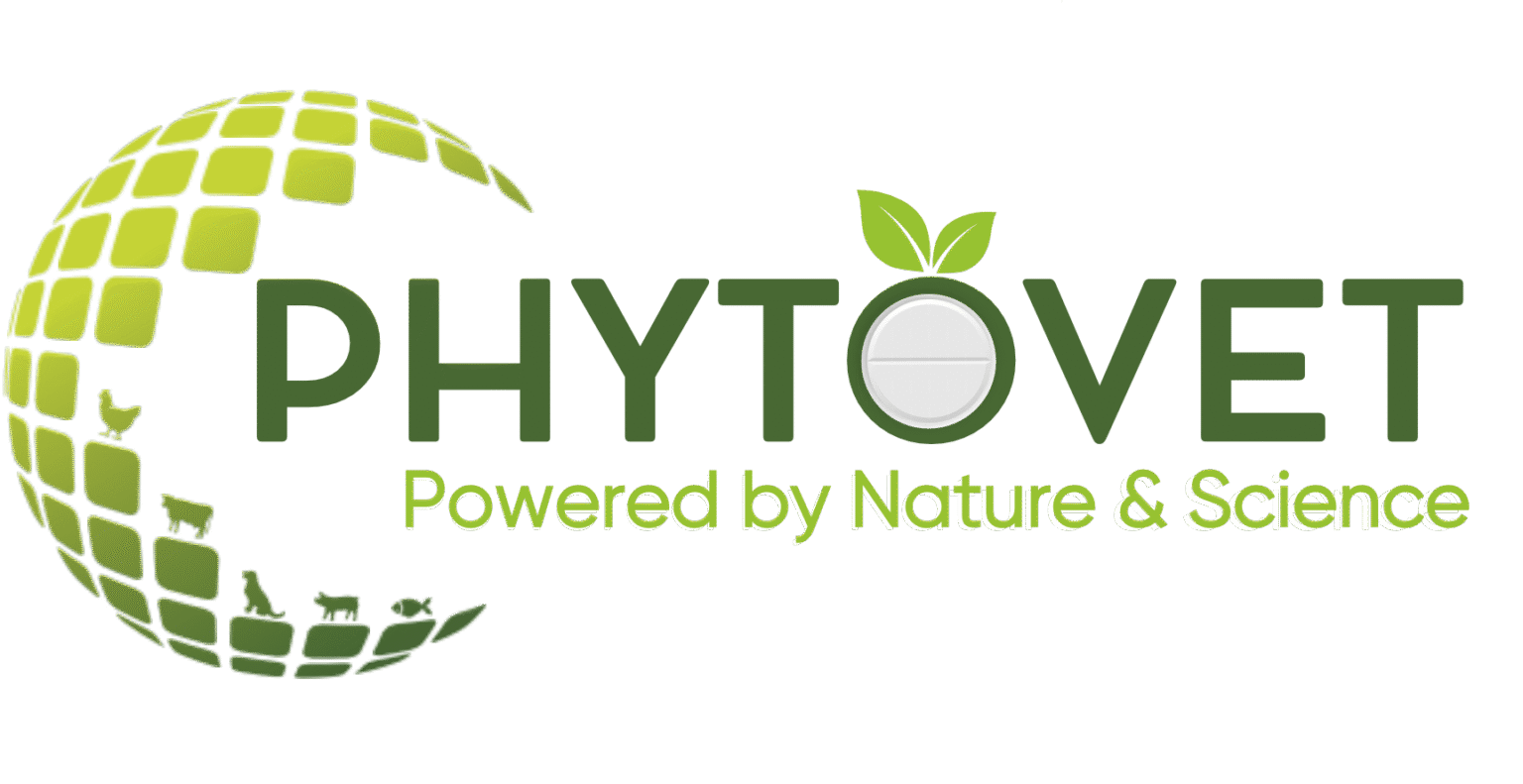 Poultry – phytovetanimalnutrition.com